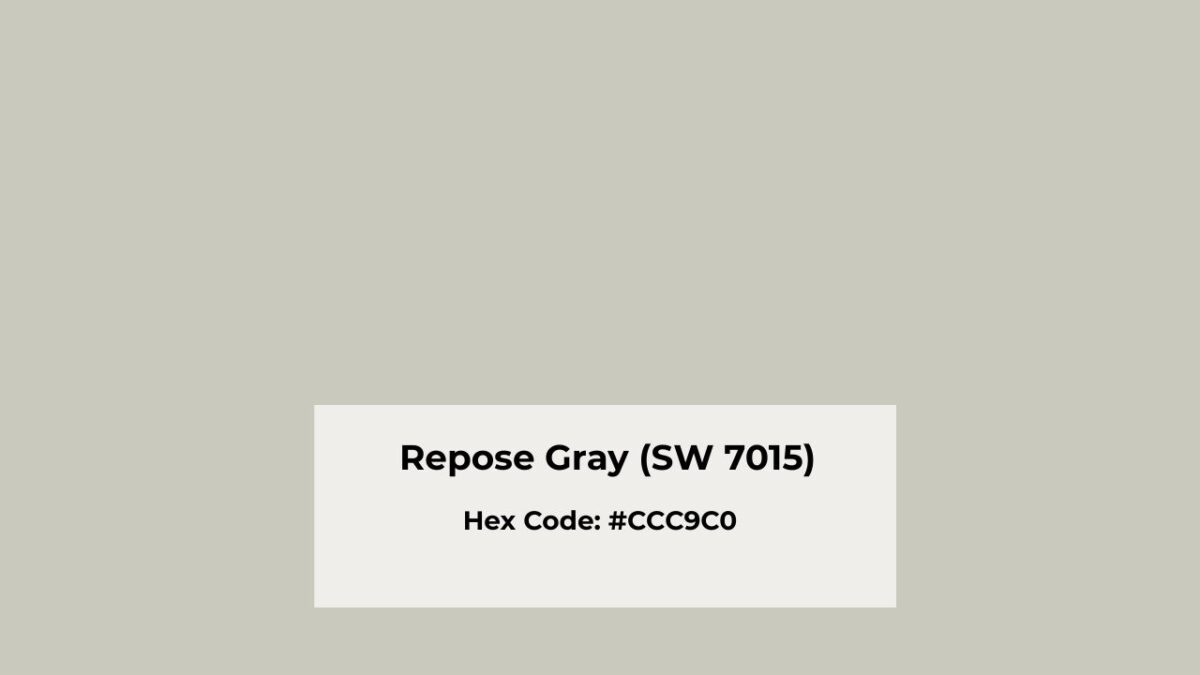 Mindful Gray Vs Repose Gray: Choosing the Best Color For Your Modern ...